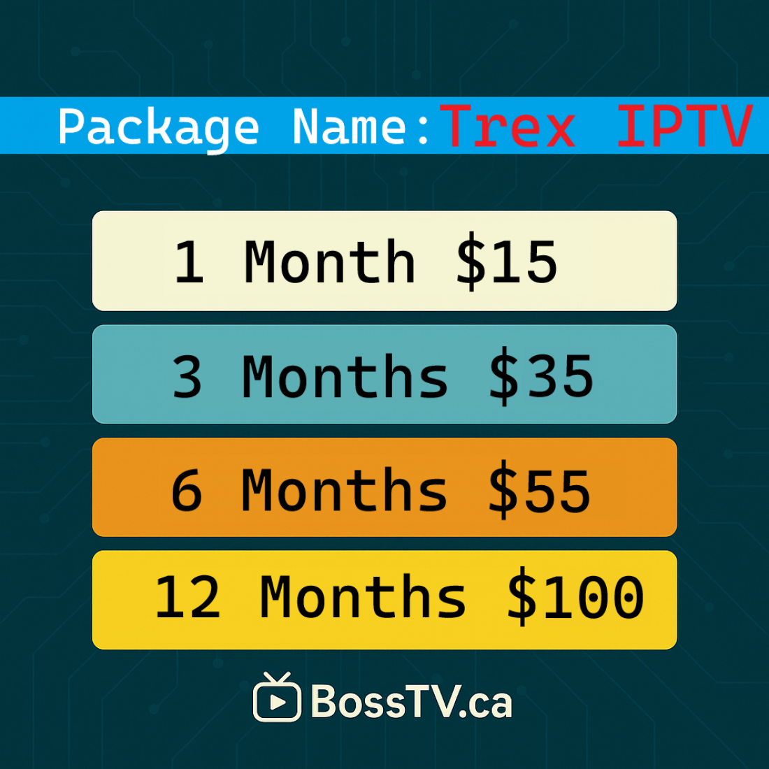 TREX IPTV | TREX IPTV SERVICE PROVIDER | Xtream Code M3u